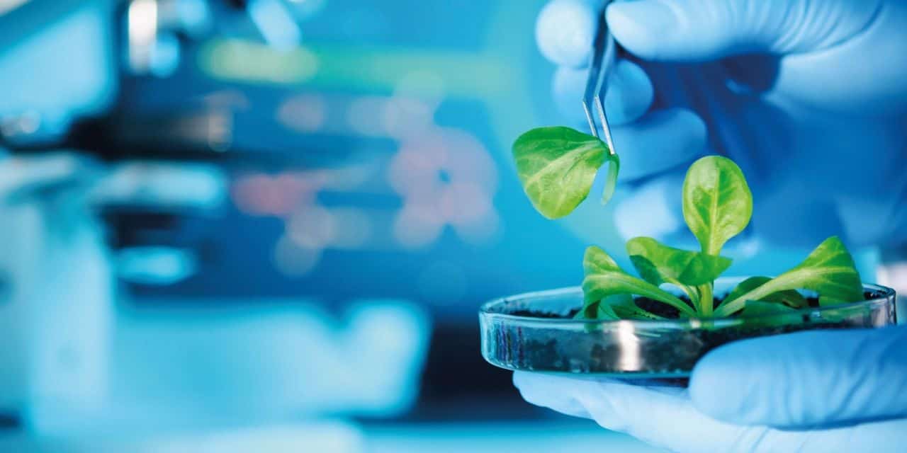 ¿Por qué la medicina biológica? - Dr. Edward Gonzalez ¿Por qué la medicina biológica? - Dr. Edward Gonzalez